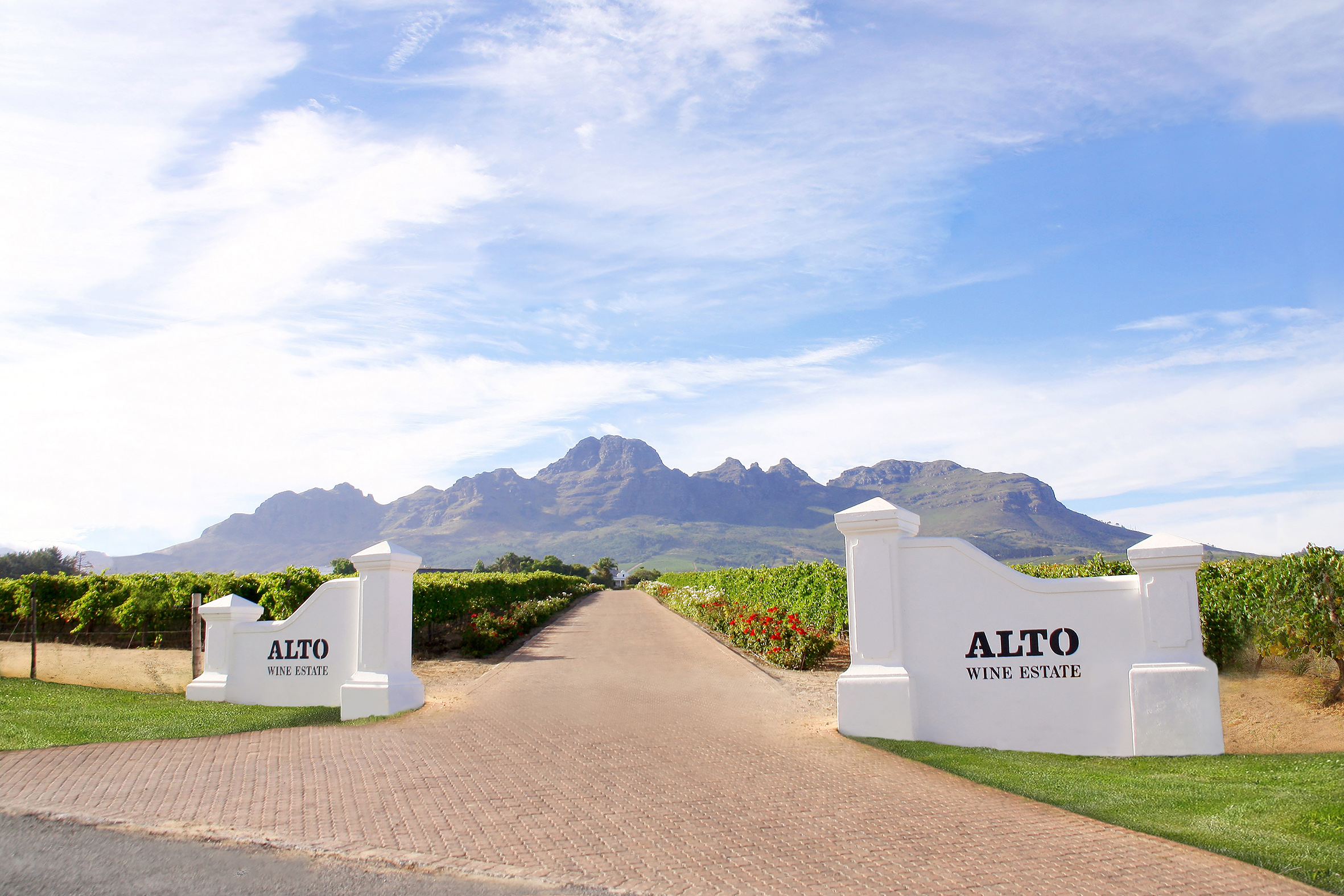 Solo Winter: Does a century of Winemaking make Alto Wines idyllic for ...